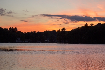 Mark LaForest - Gallery