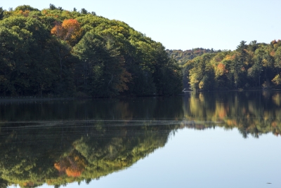 Mark LaForest - Gallery